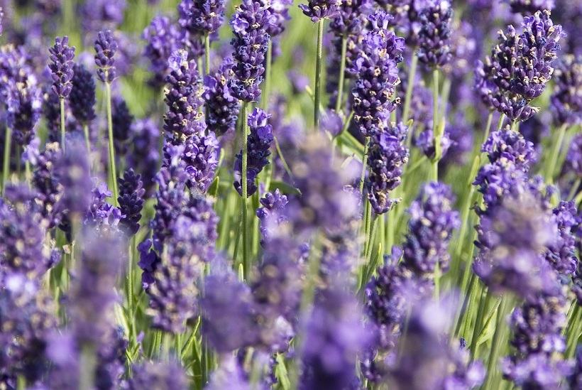 Home [graphic-ps.co.uk]